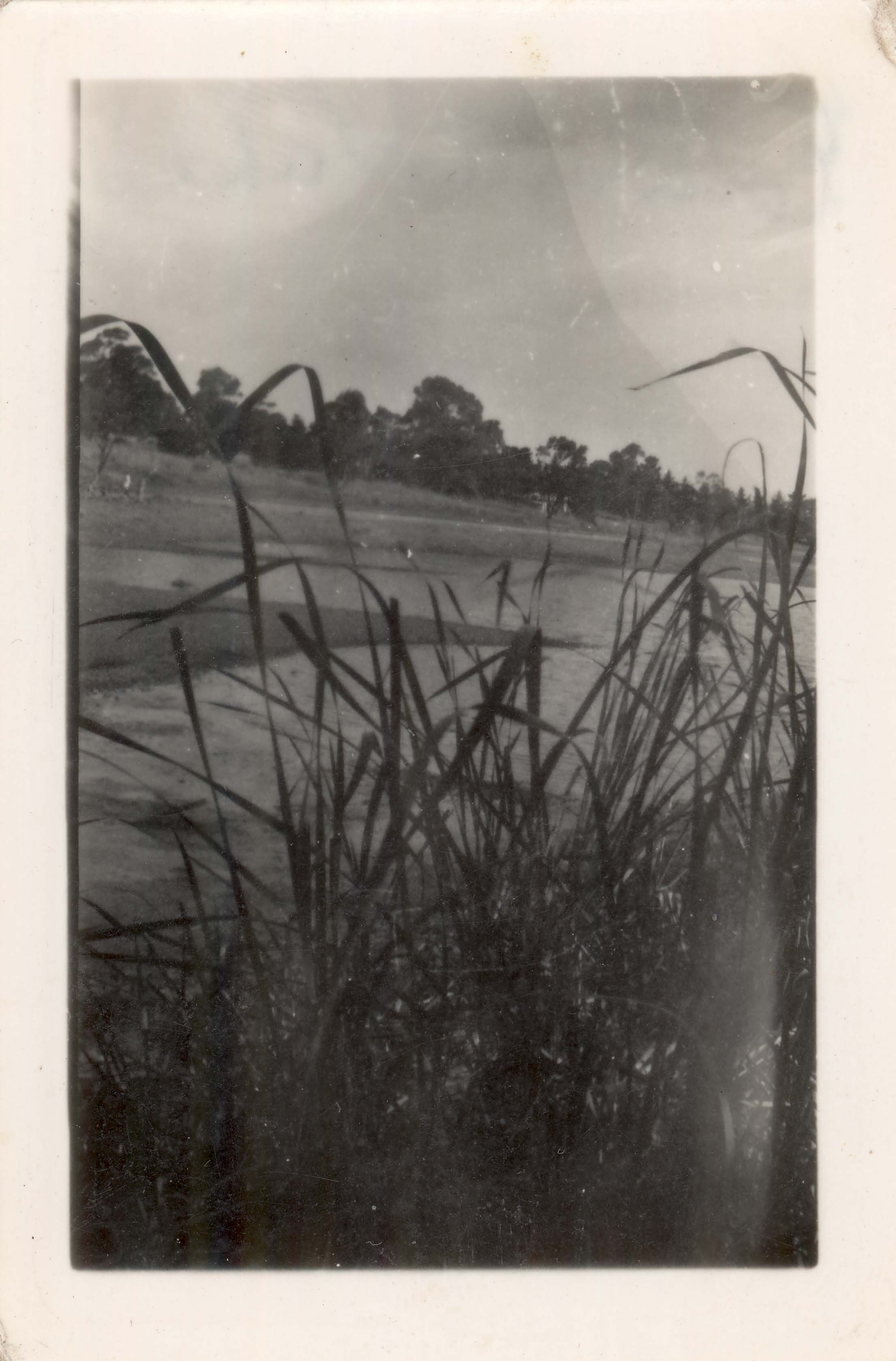 Edwardes Lake - Reservoir Darebin Libraries
